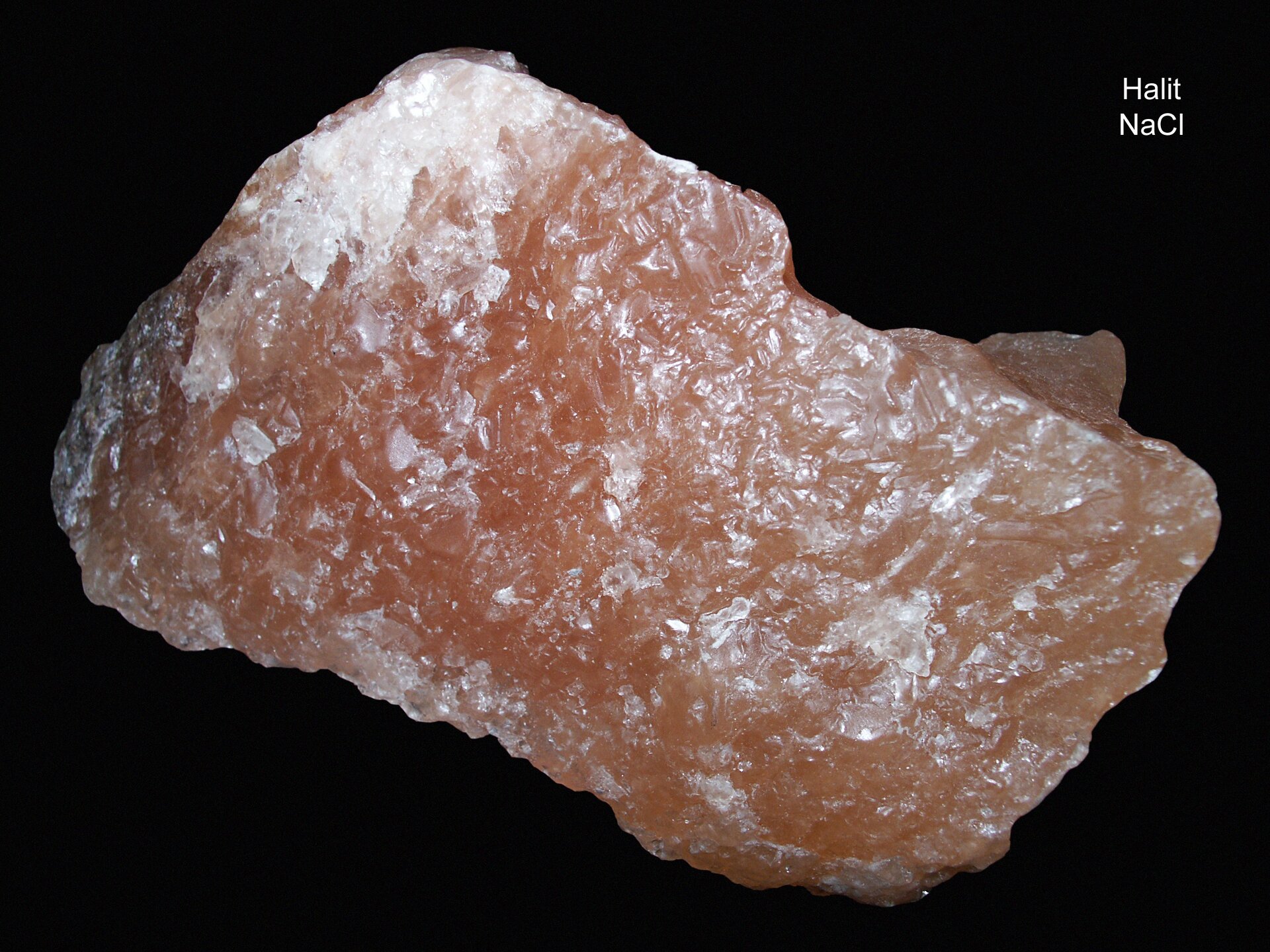 Halit - Zintegrowana Platforma Edukacyjna