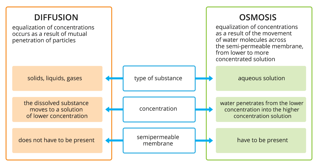 Diffusion in liquids and in solids - Zintegrowana Platforma Edukacyjna
